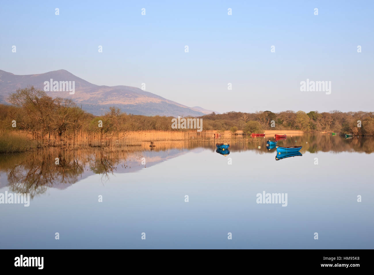 Lough Leane, Ross Bay, Killarney National Park, County Kerry, Munster ...