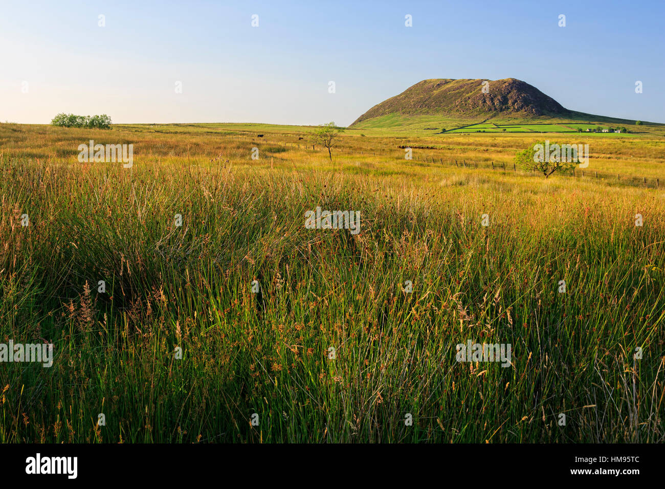 Slemish mountain in county antrim hi-res stock photography and images ...