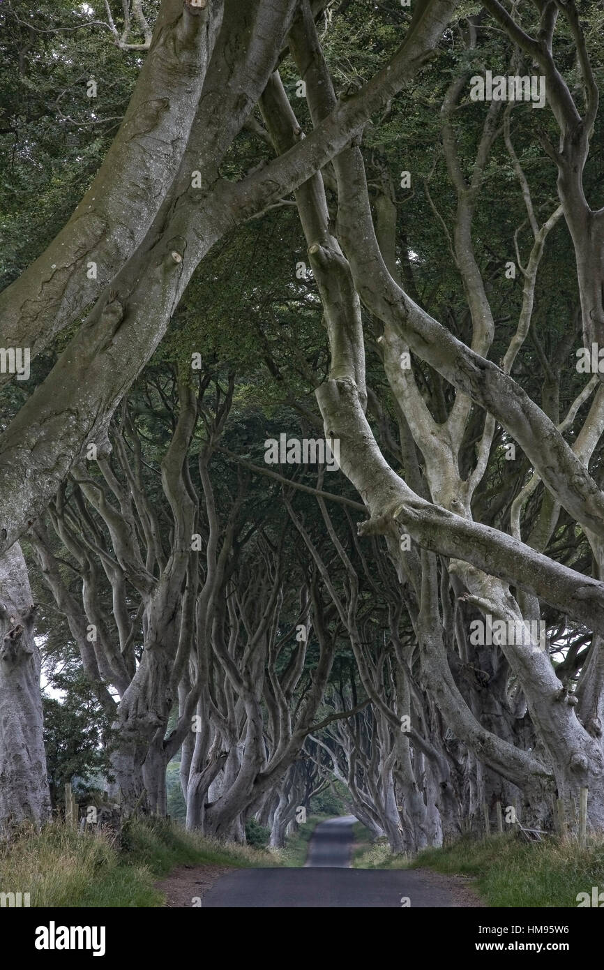 Ballymoney, county antrim hi-res stock photography and images - Alamy