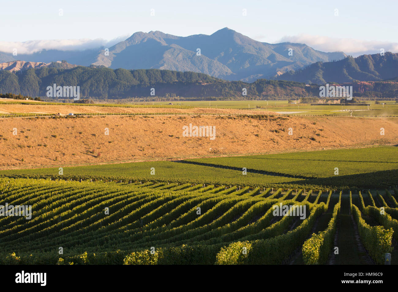 Wairau valley new zealand hi-res stock photography and images - Alamy