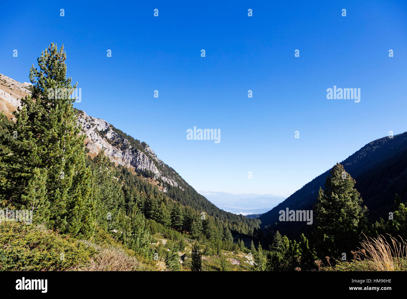 Pirin, bulgaria hi-res stock photography and images - Alamy