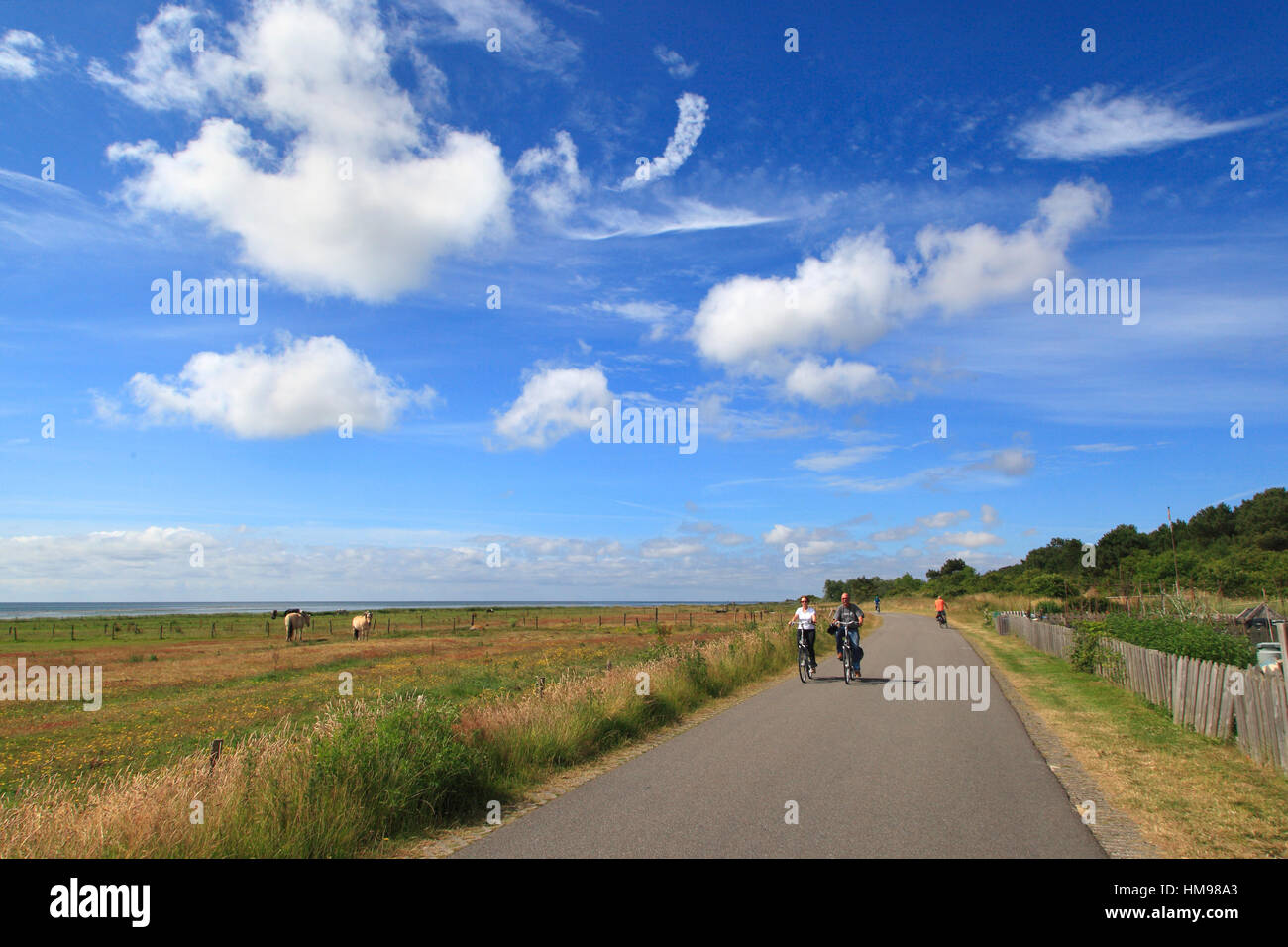 Nederlands. Wadden Islands archipelago. Vlieland island Stock Photo - Alamy