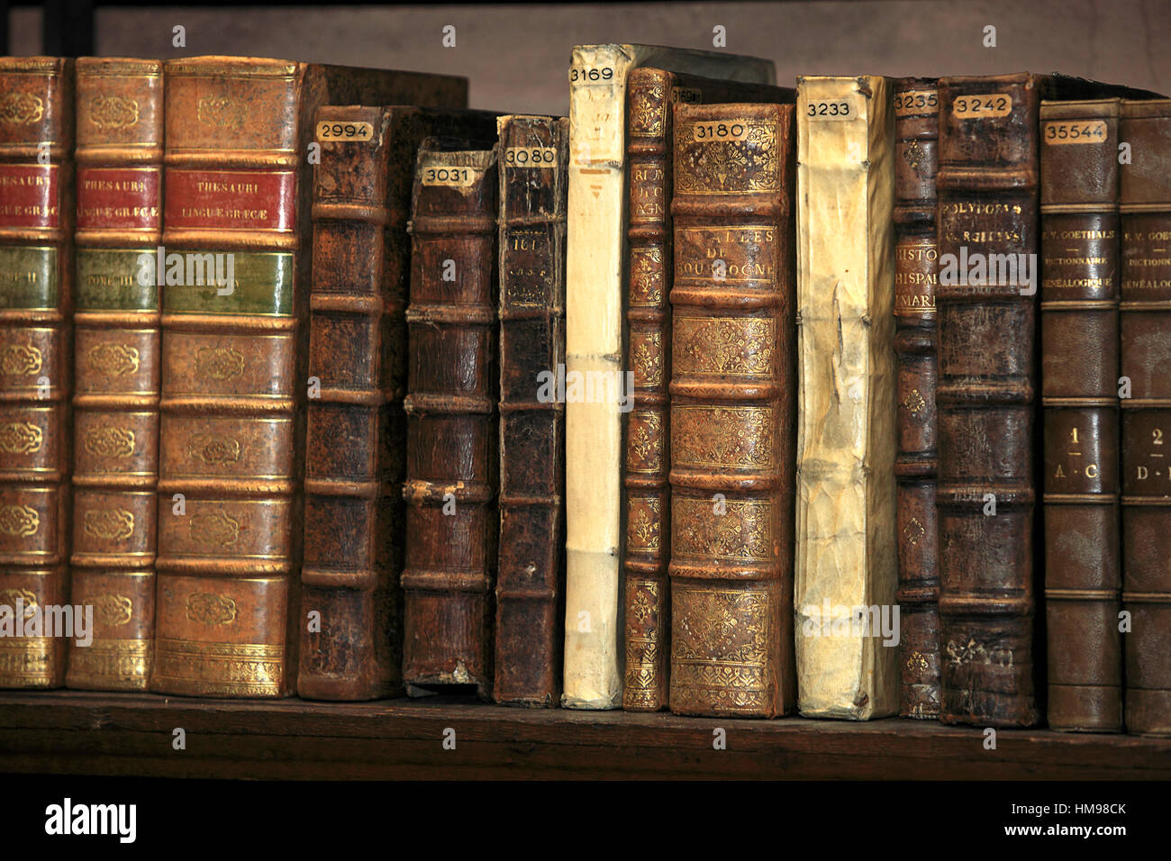 Old books in a library Stock Photo - Alamy