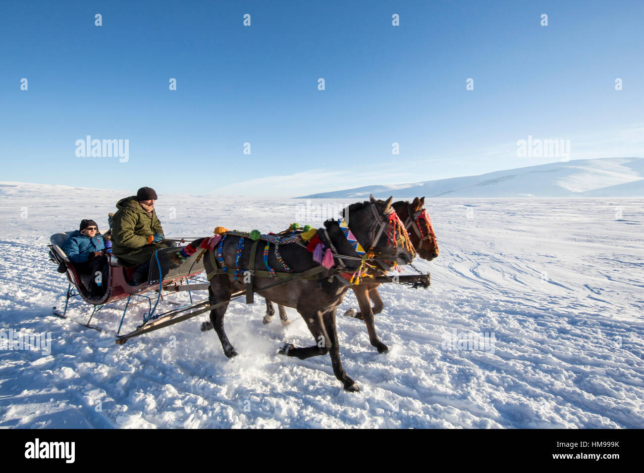 Turkey Sled