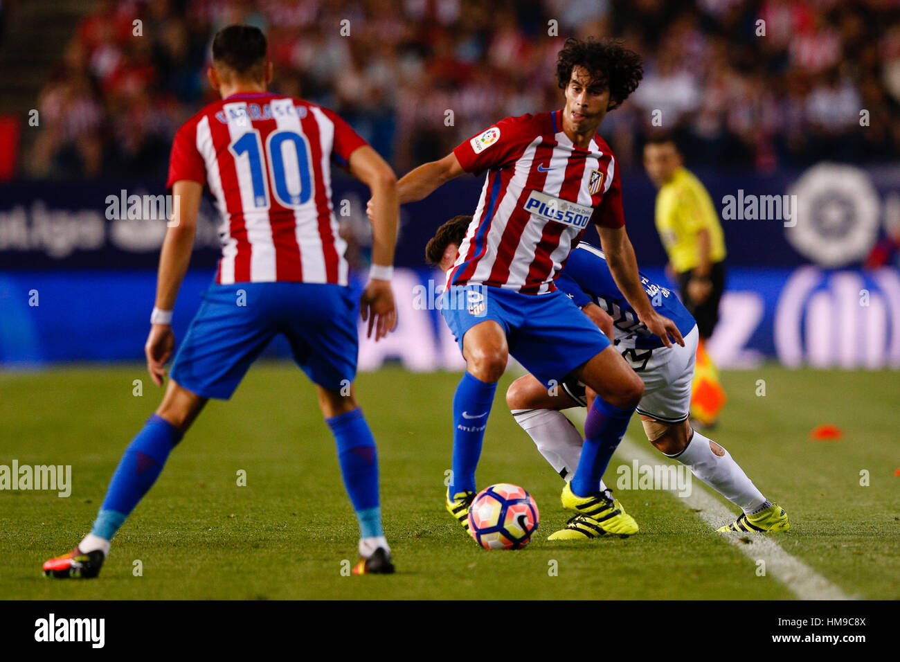 Tiago cardoso mendes hi-res stock photography and images - Alamy