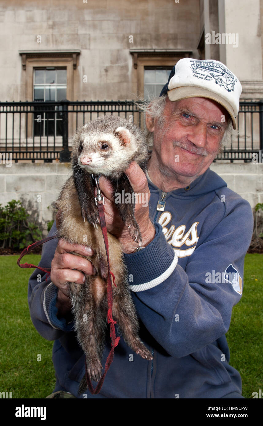Elderly man holding pet ferret, London, UK Stock Photo - Alamy