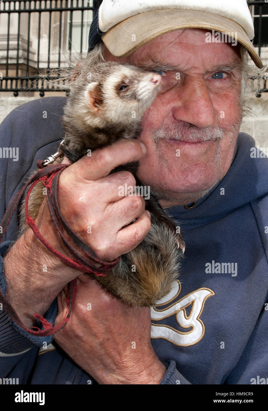 Hunt Ball Uk Stock Photos & Hunt Ball Uk Stock Images - Alamy