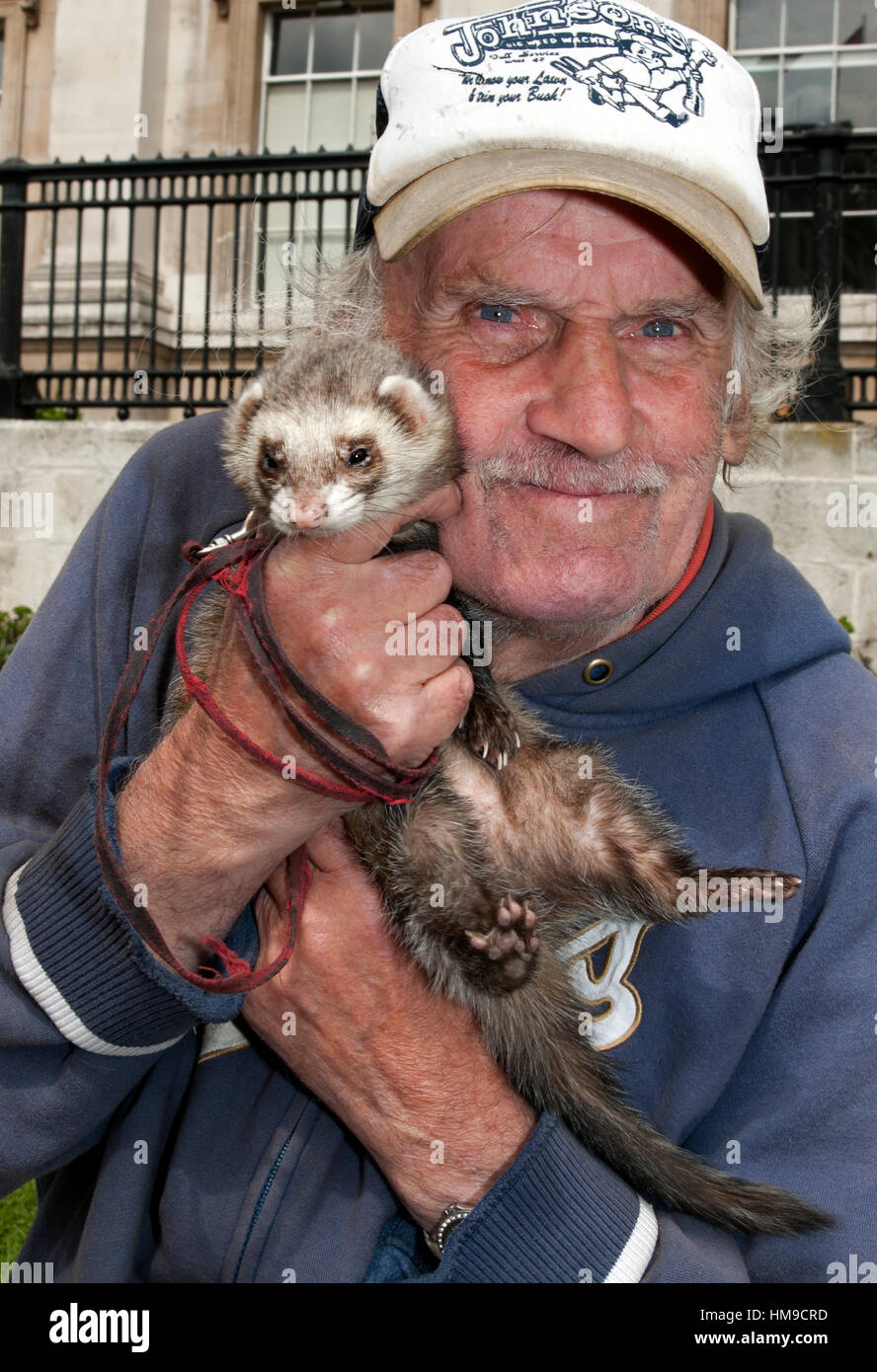 Elderly man holding pet ferret, London, UK Stock Photo - Alamy