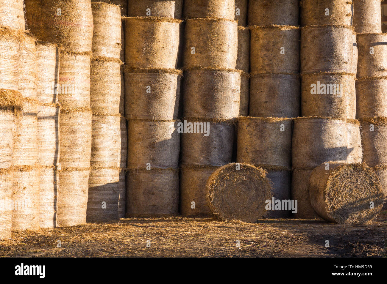 Storage fodder hi-res stock photography and images - Alamy