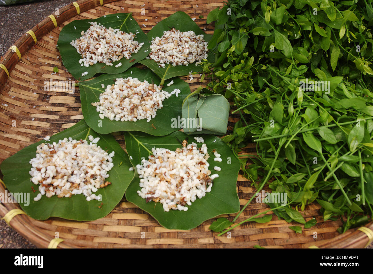 Edible ant eggs for sale at Indochina Market, Mukdahan Stock Photo - Alamy