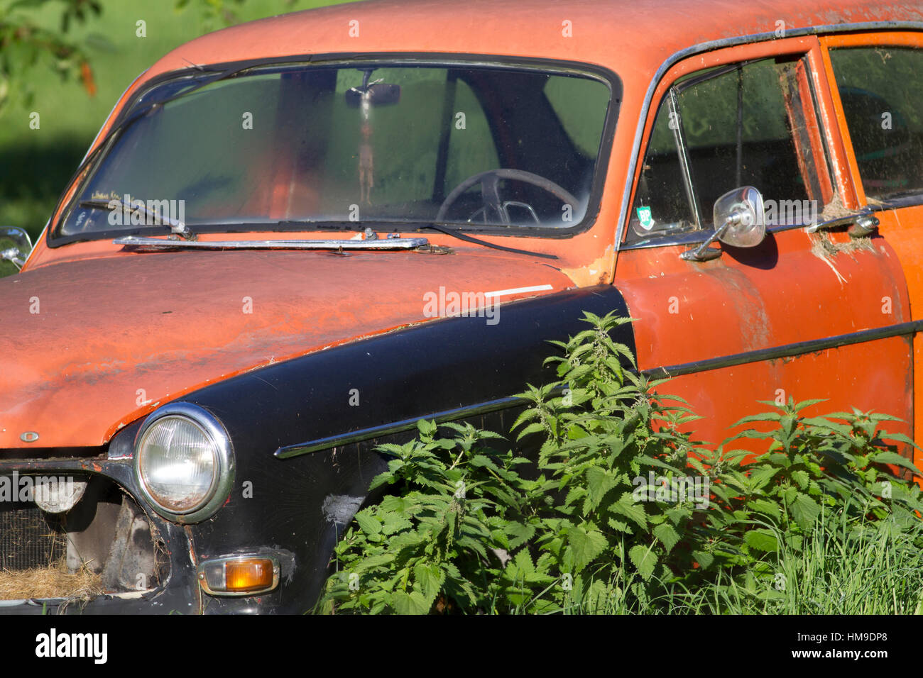 Scrap Cars standing in nature and rusting away Stock Photo - Alamy