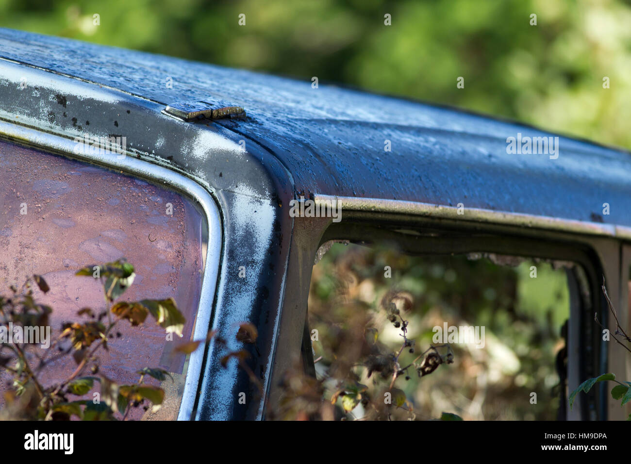 Scrap Cars standing in nature and rusting away Stock Photo - Alamy