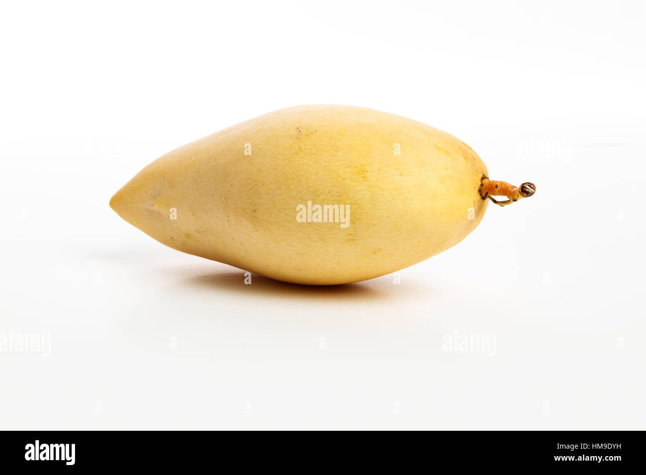 fresh yellow mango with white background, close up Stock Photo - Alamy