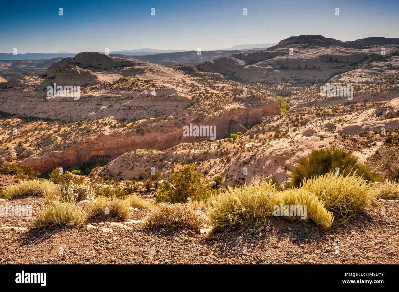 Calf Creek area, view from road following The Hogback at Grand ...