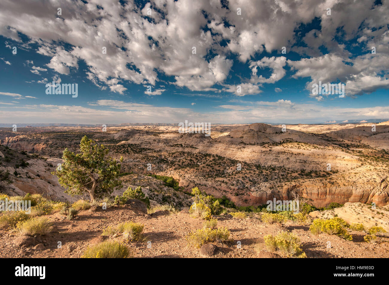 Calf Creek area, view from road following The Hogback at Grand ...