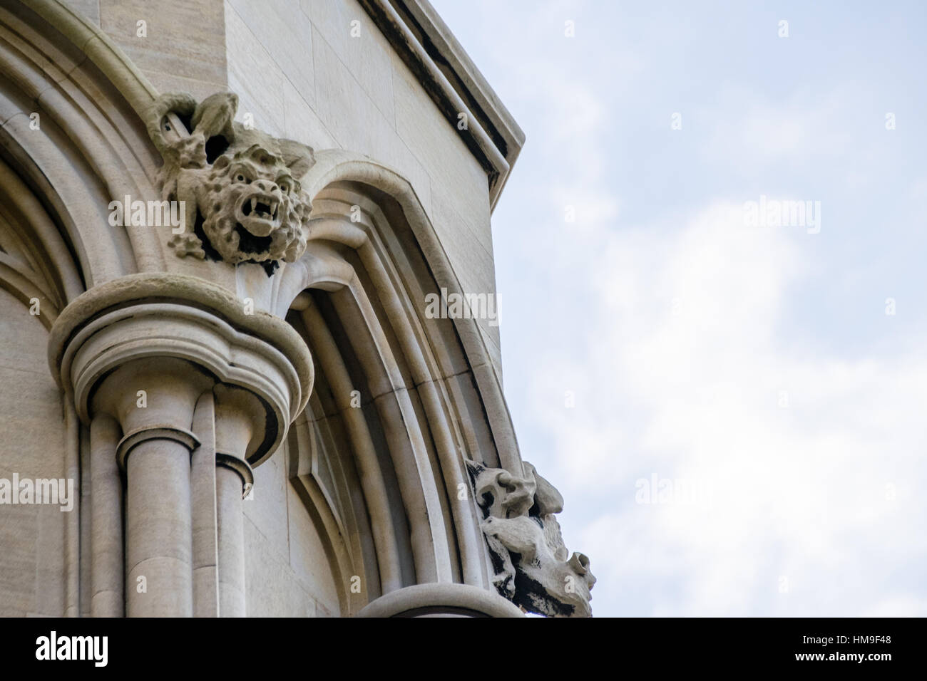 Gargoyle colored hi-res stock photography and images - Alamy