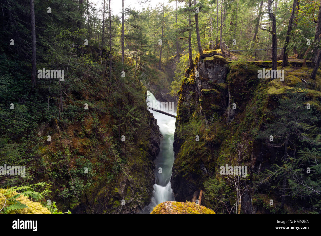 Qualicum falls provinci hi-res stock photography and images - Alamy