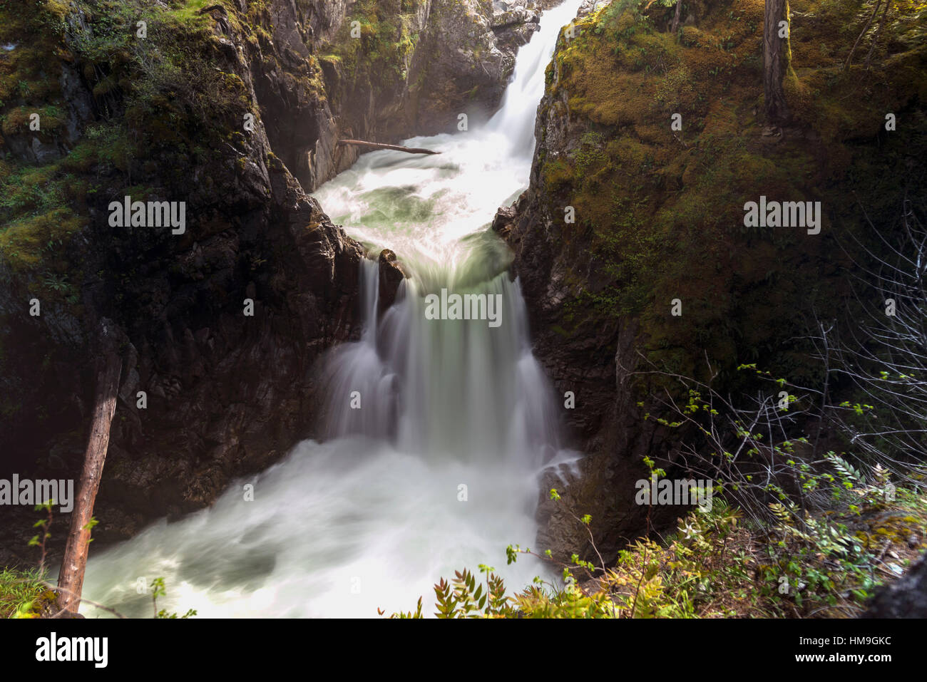 Little Qualicum Falls Stock Photos & Little Qualicum Falls Stock Images ...