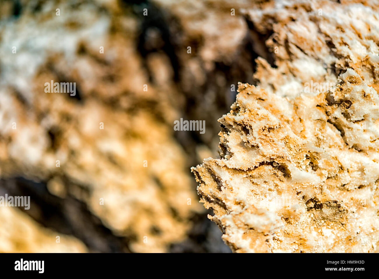 Cracked salt brine ground texture Close up, bad water section of Death ...