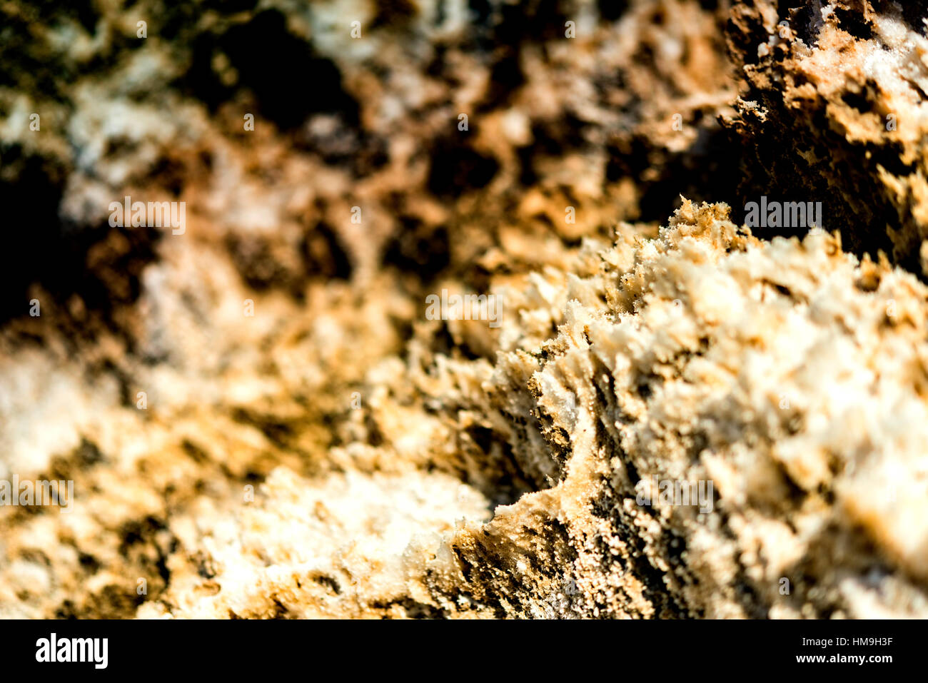 Cracked salt brine ground texture Close up, bad water section of Death ...