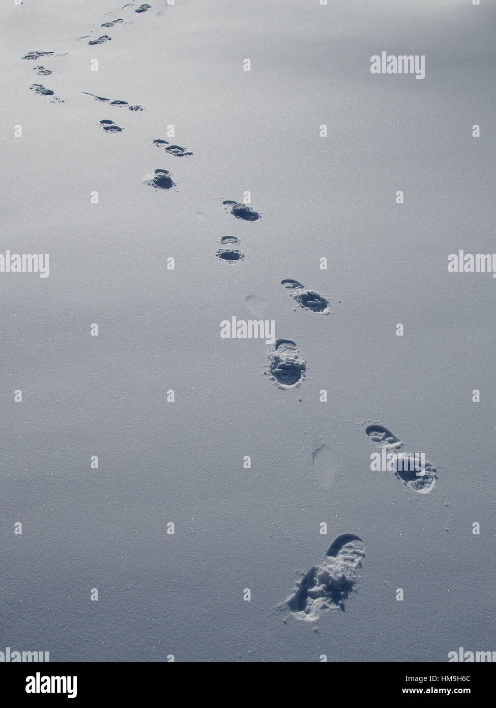 Footprints in the fresh snow shoe track Stock Photo - Alamy
