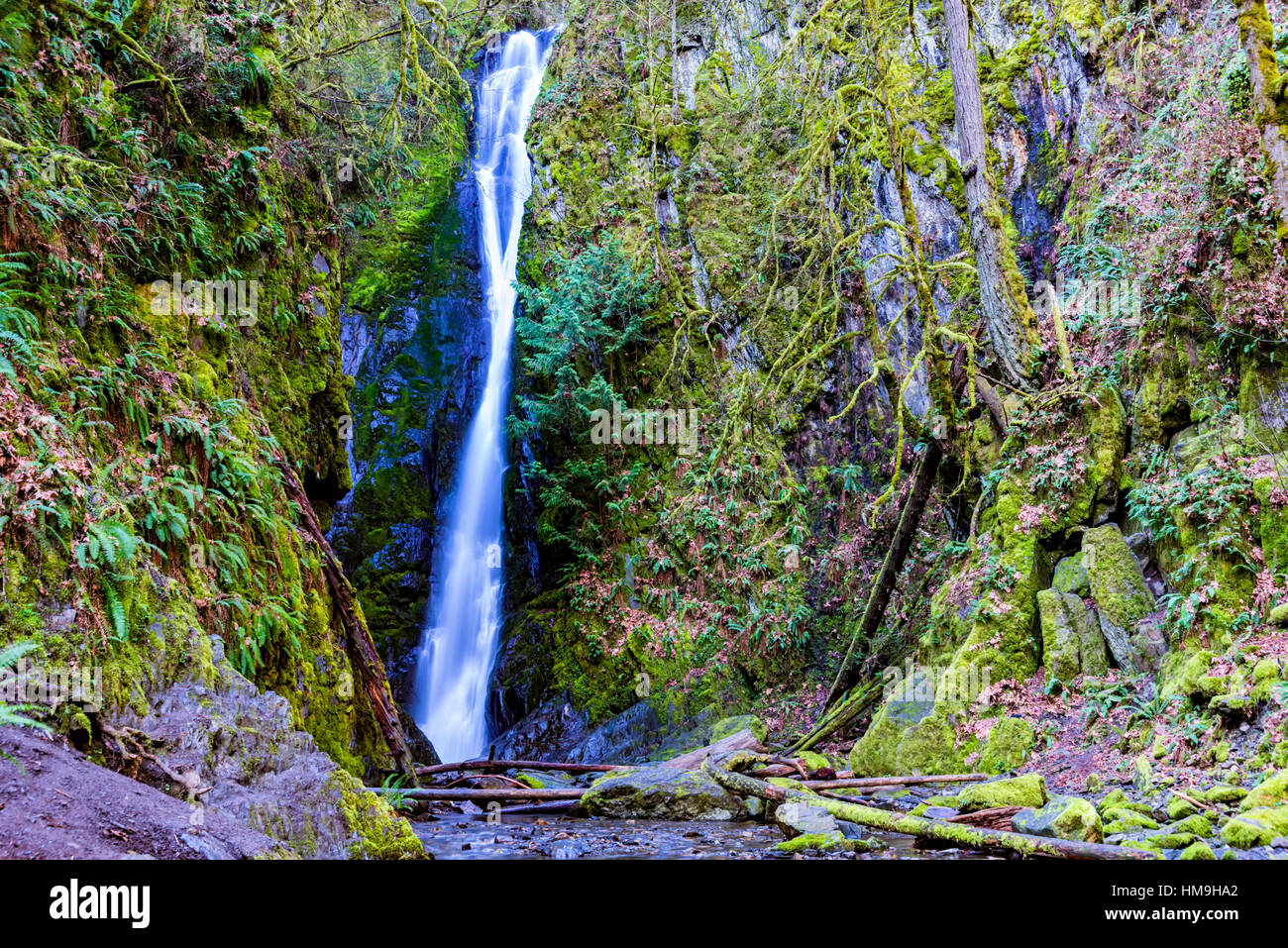 Nature of Vancouver Island - Niagara waterfalls in Early spring ...