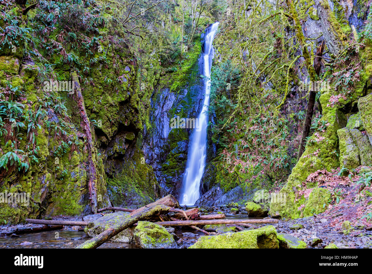 Nature of Vancouver Island - Niagara waterfalls in Early spring ...