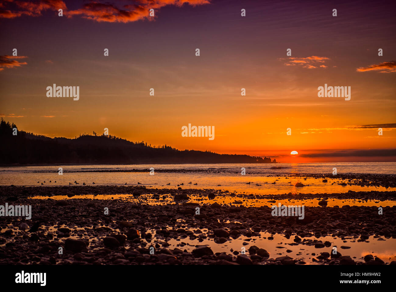 Beautiful sunrising moment in Jordan River; Vancouver Island, British ...