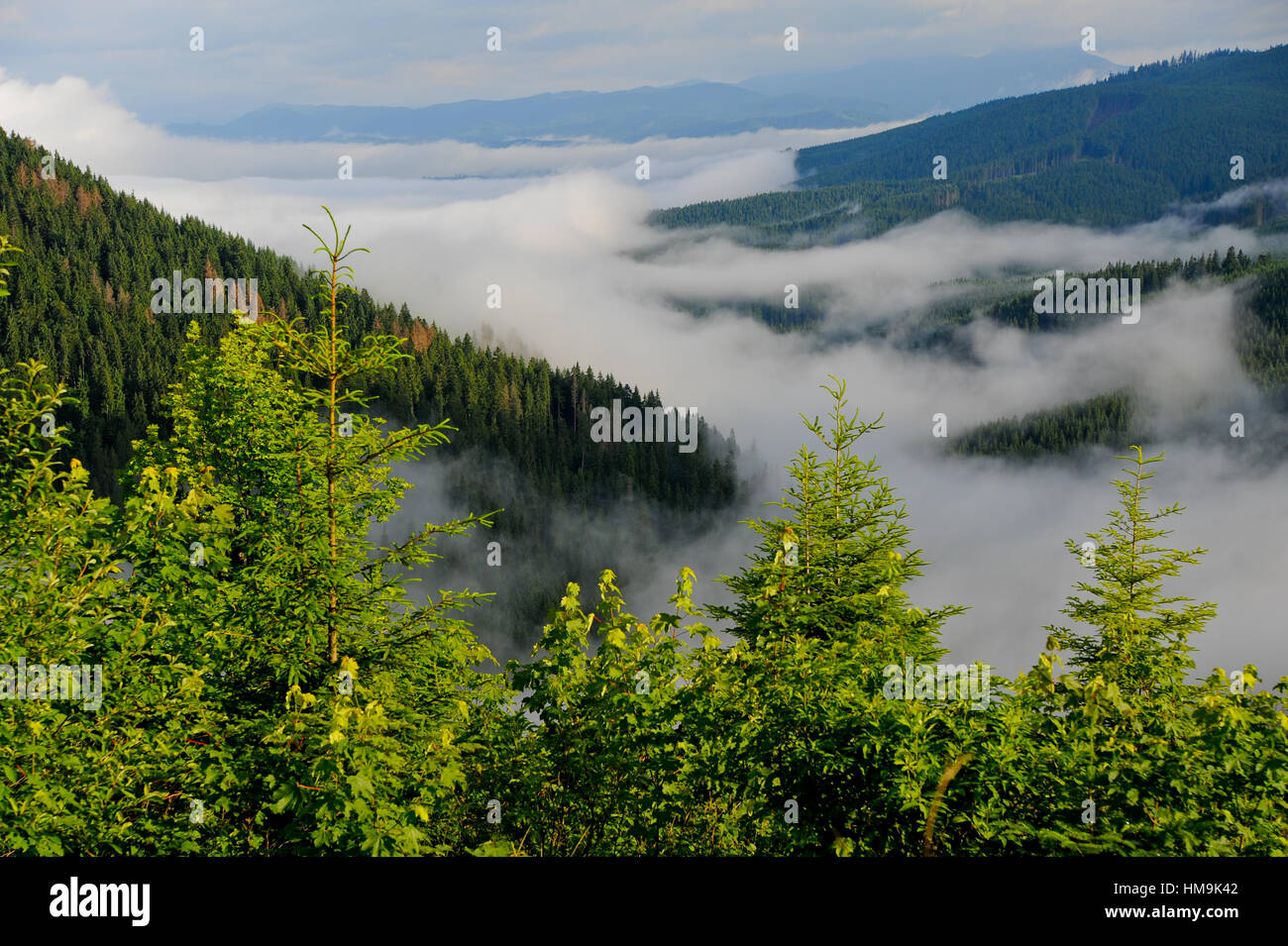 mountain valley landscape Stock Photo - Alamy
