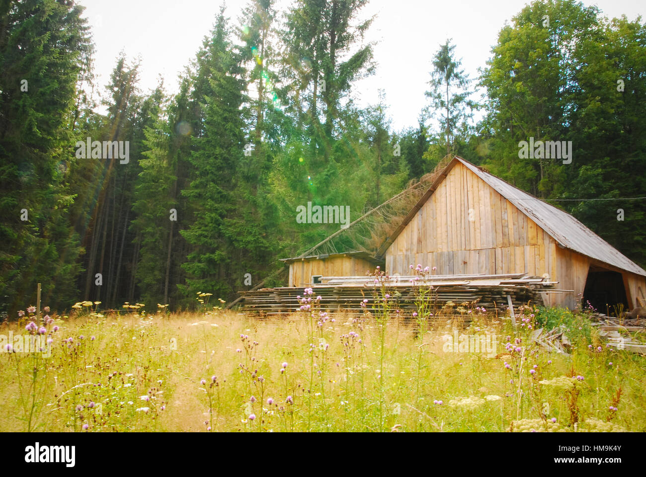 wooden barn in forest Stock Photo - Alamy