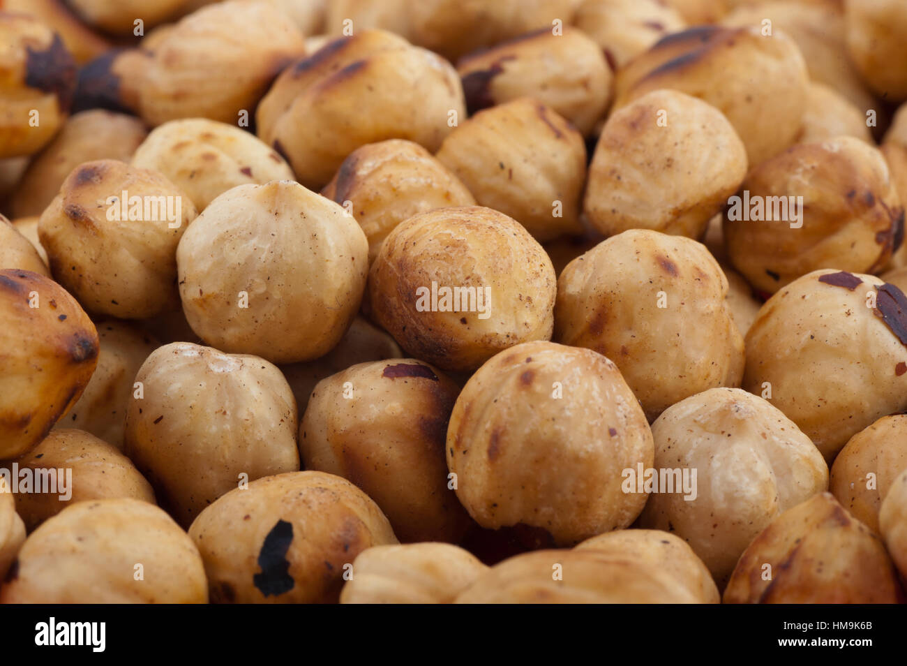solid Nuts Isolated Stock Photo - Alamy