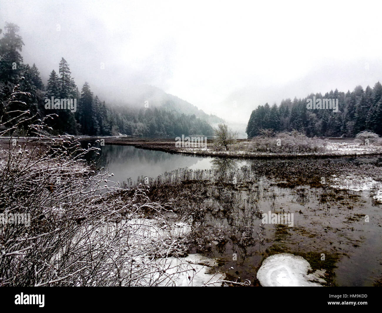 Finlayson arm hi-res stock photography and images - Alamy