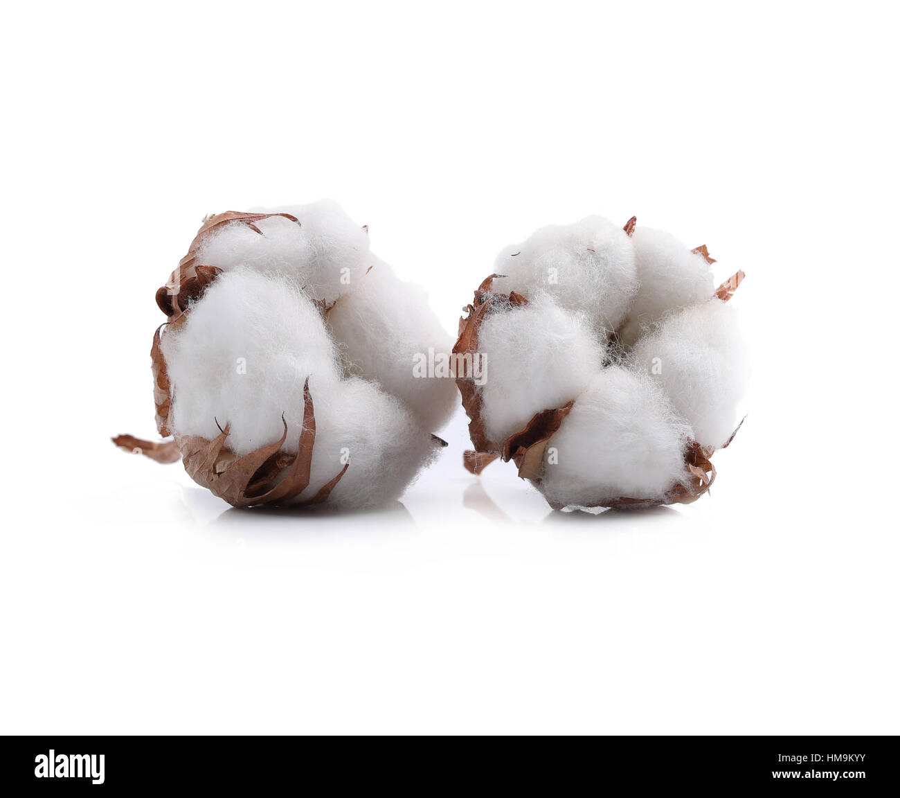 Organic cotton texture Cut Out Stock Images & Pictures - Alamy