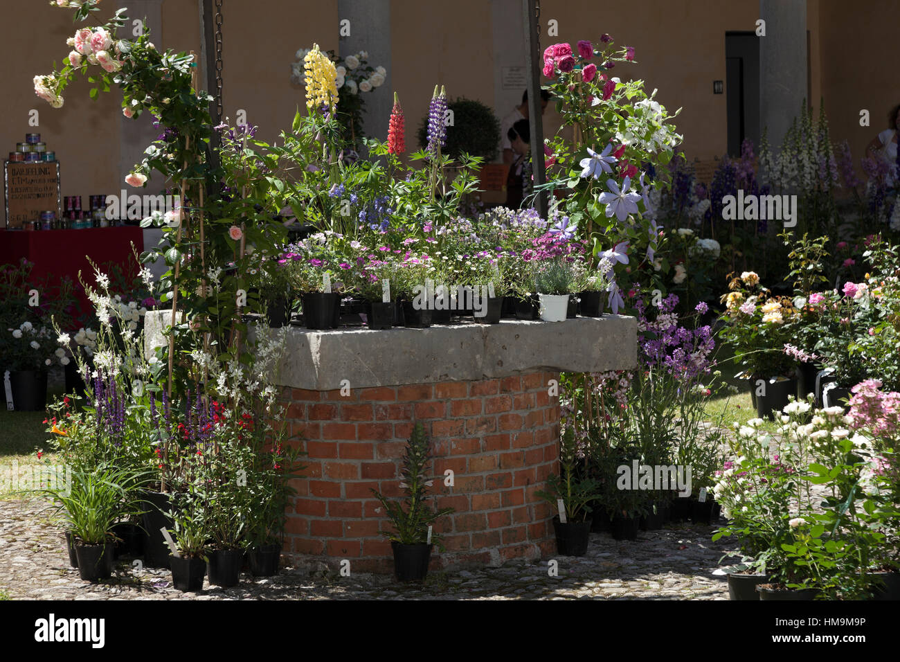 Well and collection of potted plants Stock Photo - Alamy