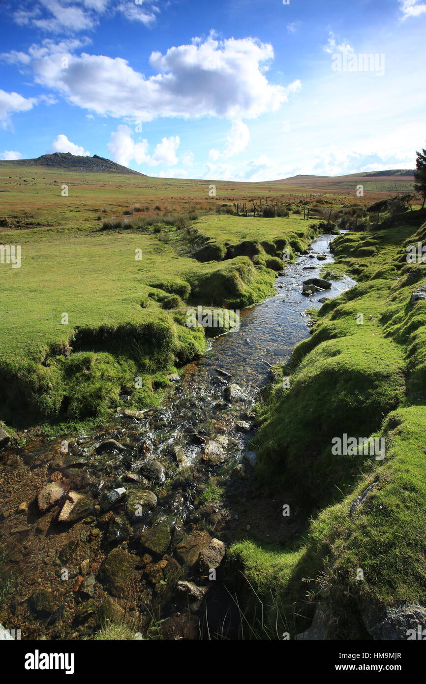 A stream on Bodmin moor with rough tor in distance Stock Photo - Alamy