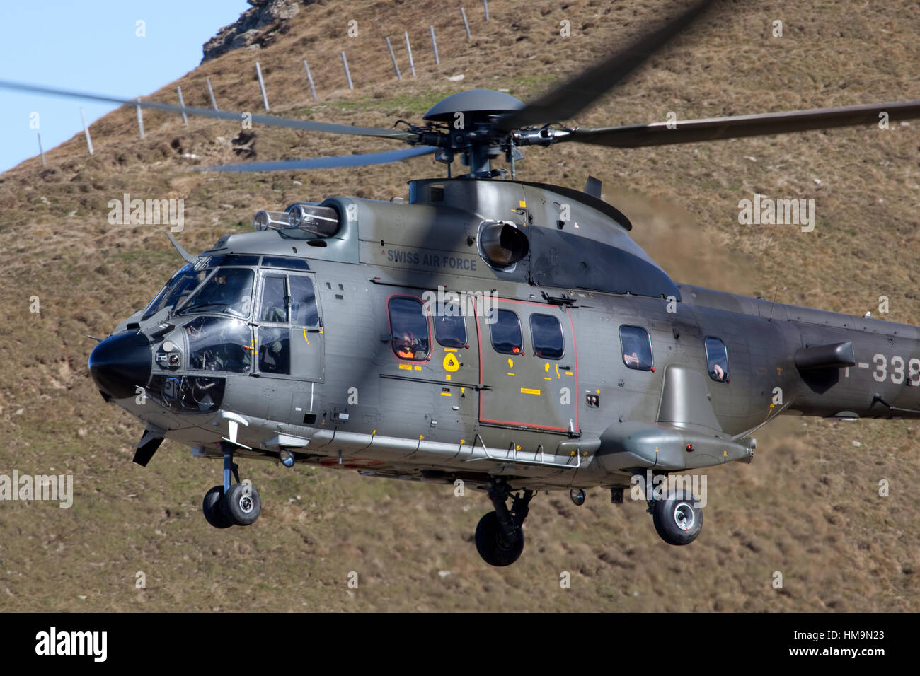 Puma, Swiss Air Force Stock Photo - Alamy