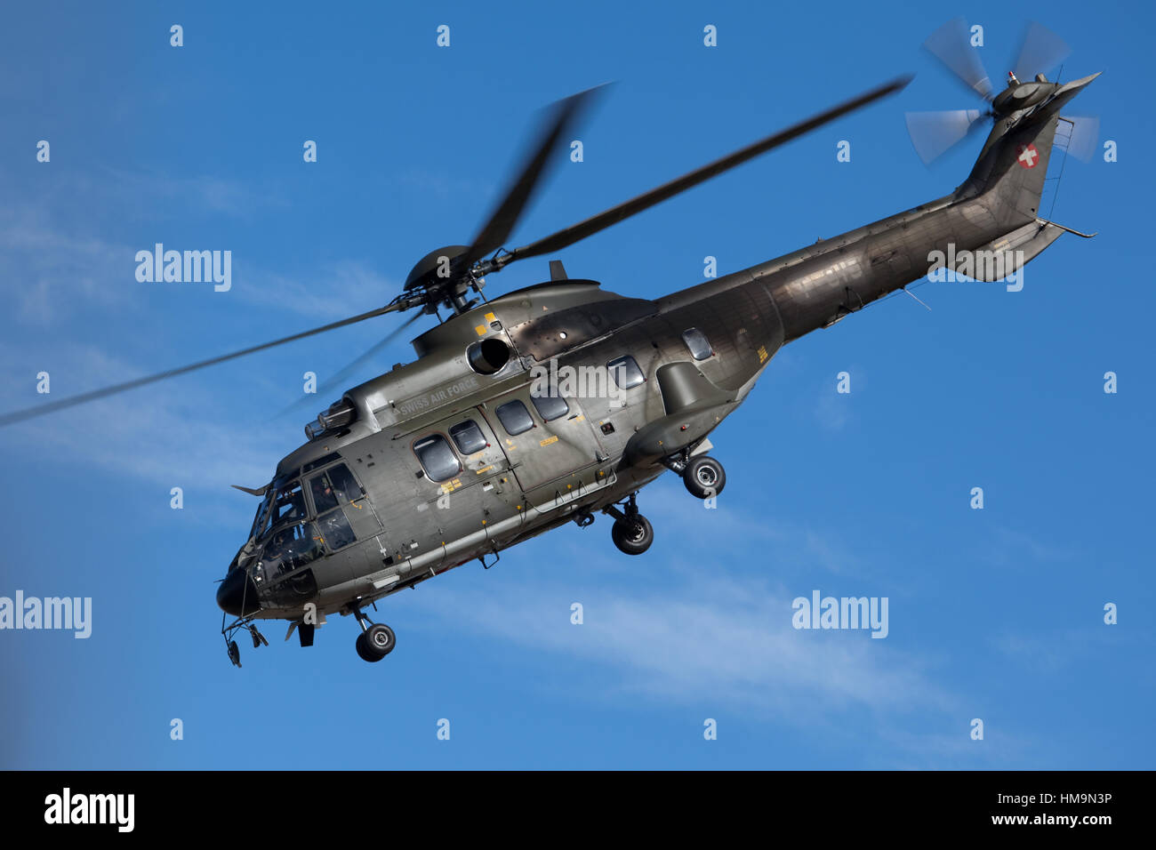 Puma, Swiss Air Force Stock Photo - Alamy