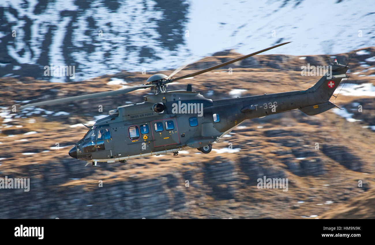 Puma, Swiss Air Force Stock Photo - Alamy