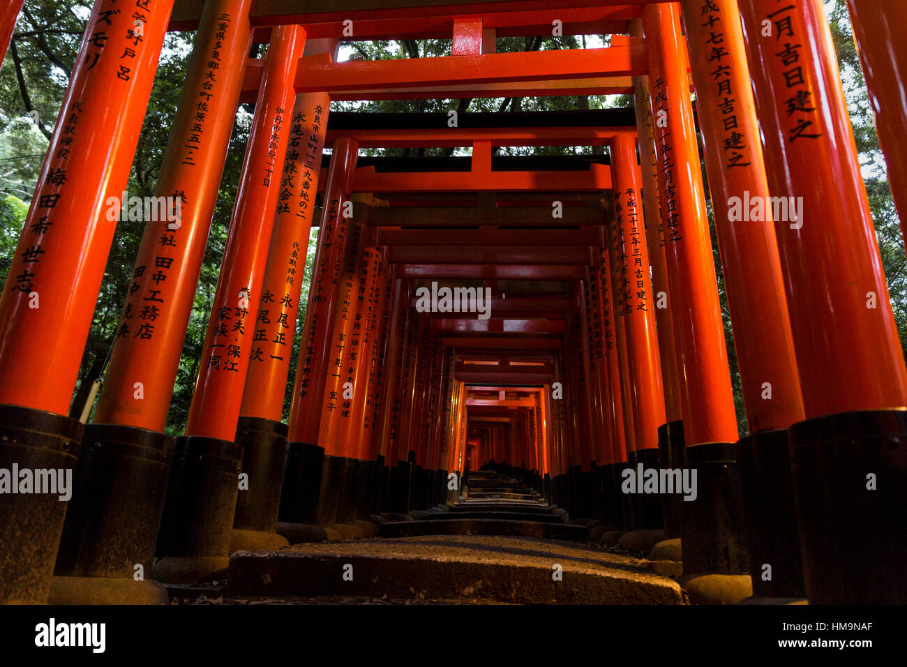 Detail of the names engraved on the torii of Fushimi Inari Taisha ...