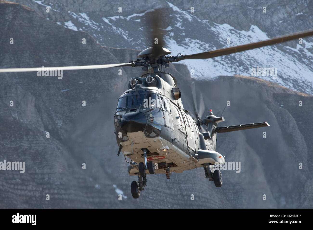 Puma, Swiss Air Force Stock Photo - Alamy