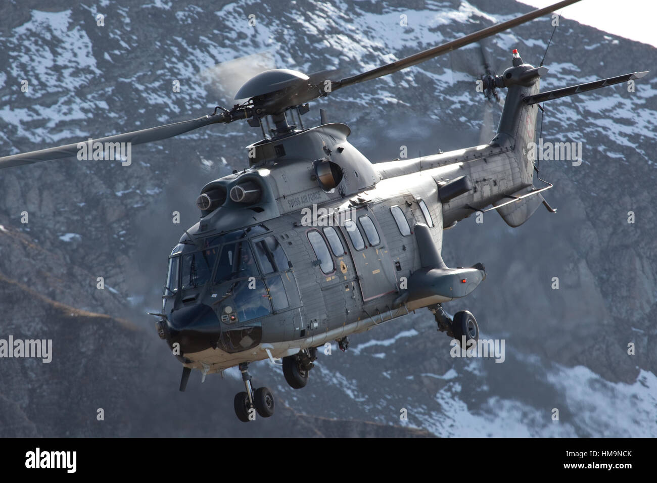 Puma, Swiss Air Force Stock Photo - Alamy