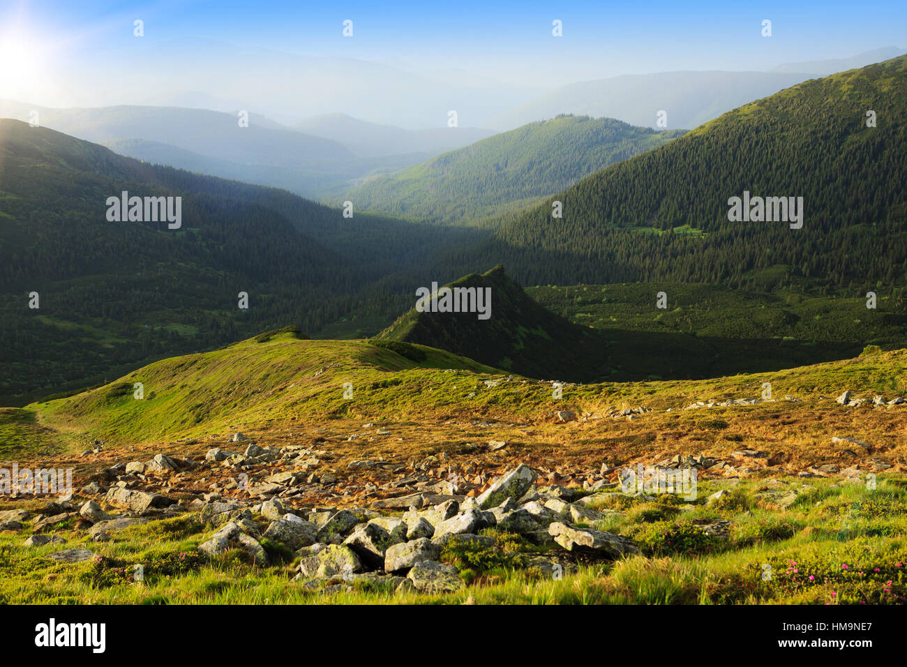 Beautiful views of summer Carpathian Stock Photo - Alamy