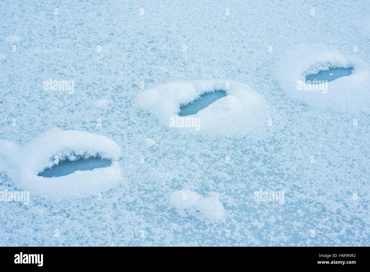 footprints in snow Stock Photo - Alamy