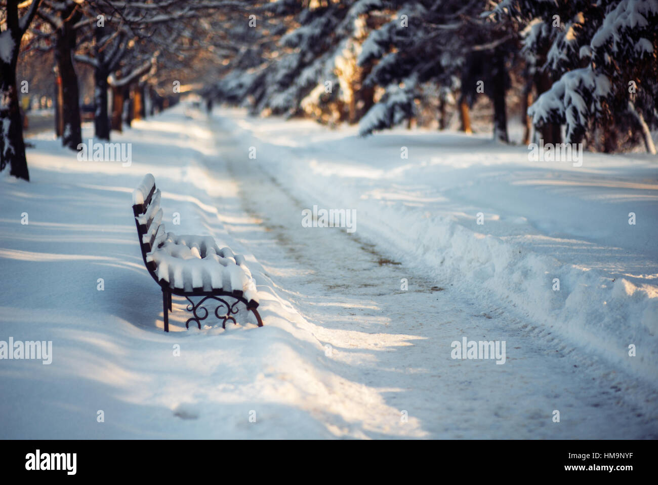 winter park in snow Stock Photo - Alamy
