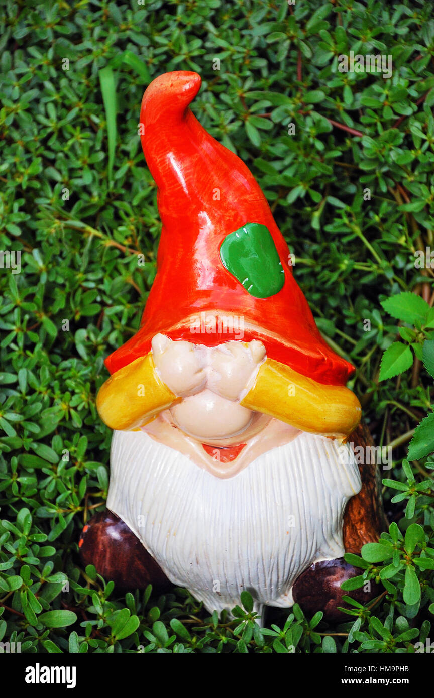 Dwarf plants hi-res stock photography and images - Alamy