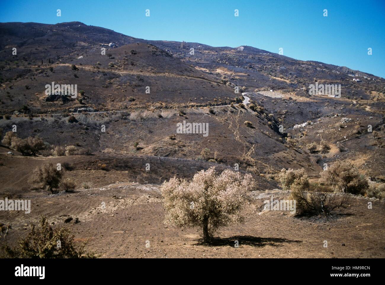 Road near agios pavlos hi-res stock photography and images - Alamy