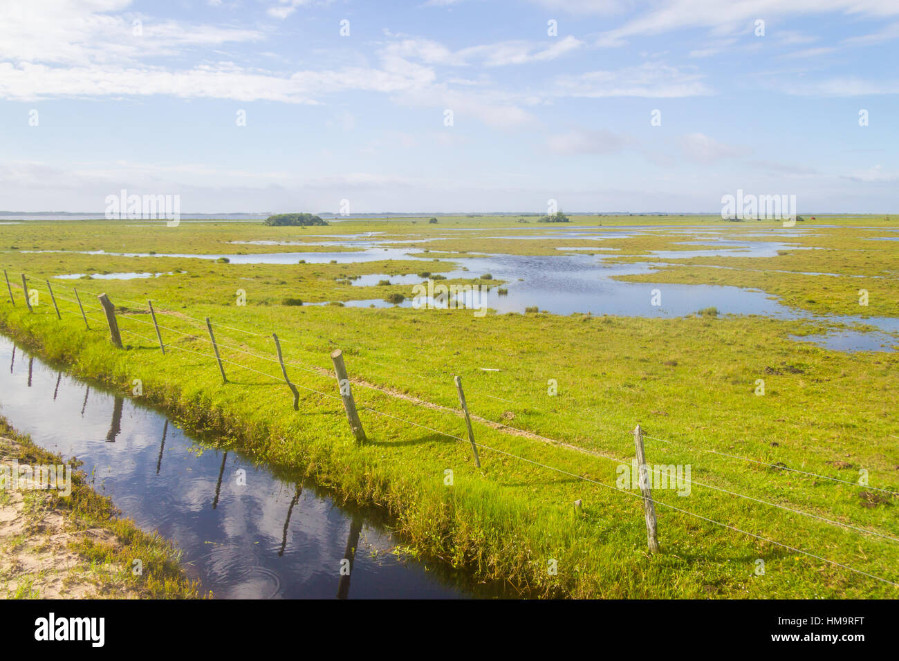 Puddles in flooded field hi-res stock photography and images - Alamy
