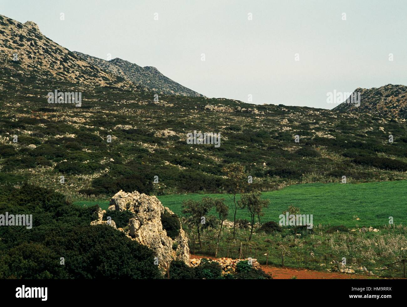 Landscape, Rodopi peninsula, Crete, Greece Stock Photo - Alamy