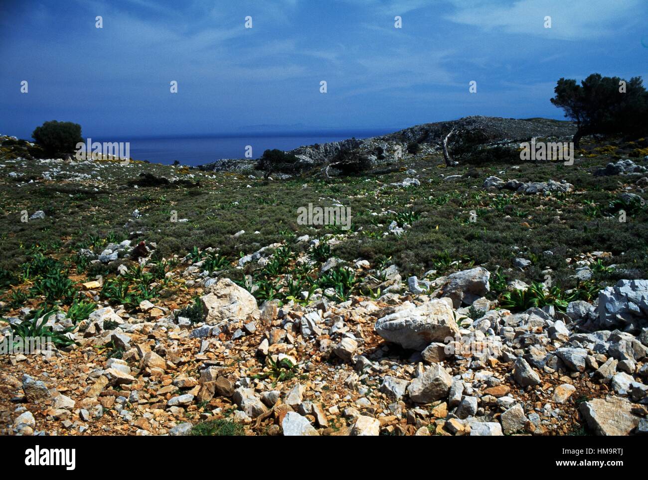 Rodopi peninsula hi-res stock photography and images - Alamy