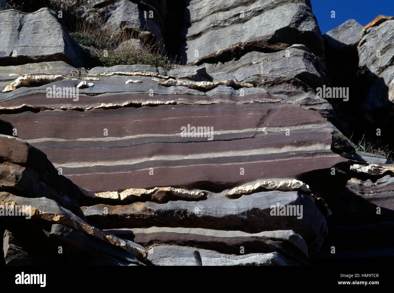 Rock layers, Mount Ida (Psiloritis), Crete, Greece Stock Photo - Alamy